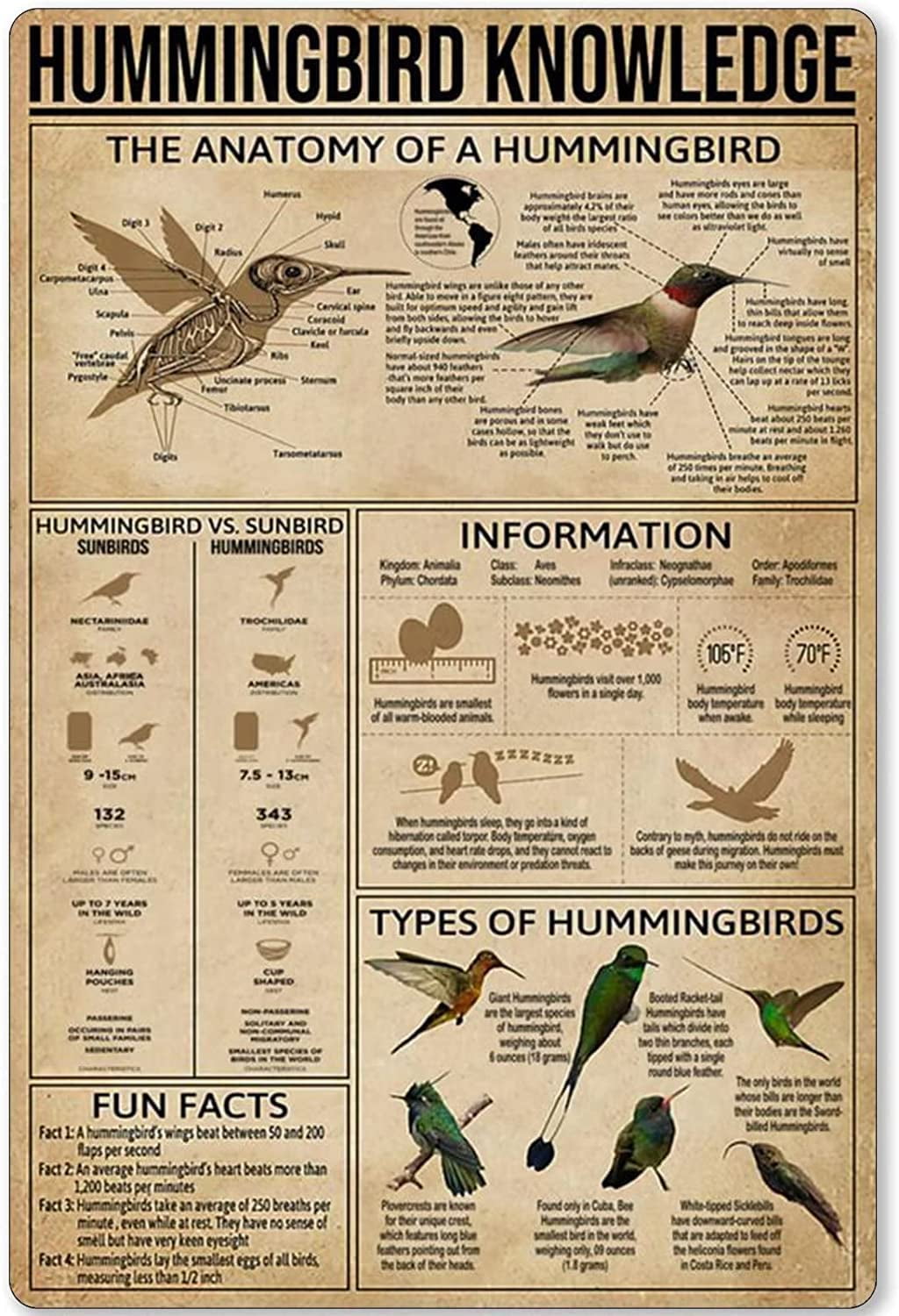 Birds Metal Tin Sign Wall Decor Poster Hummingbird Knowledge Anatomy ...