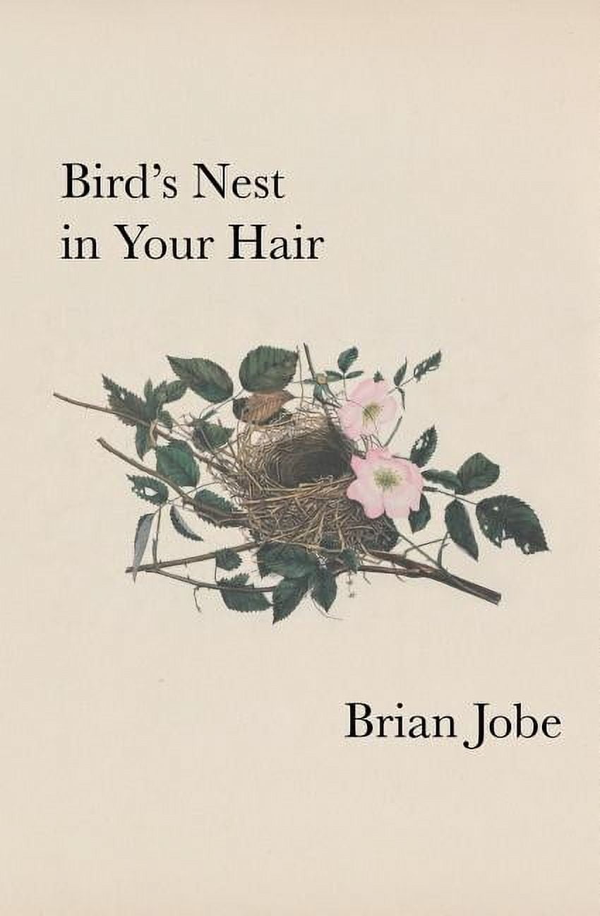 Birds Nest In Your Hair (Paperback) by Brian Jobe - Walmart.com