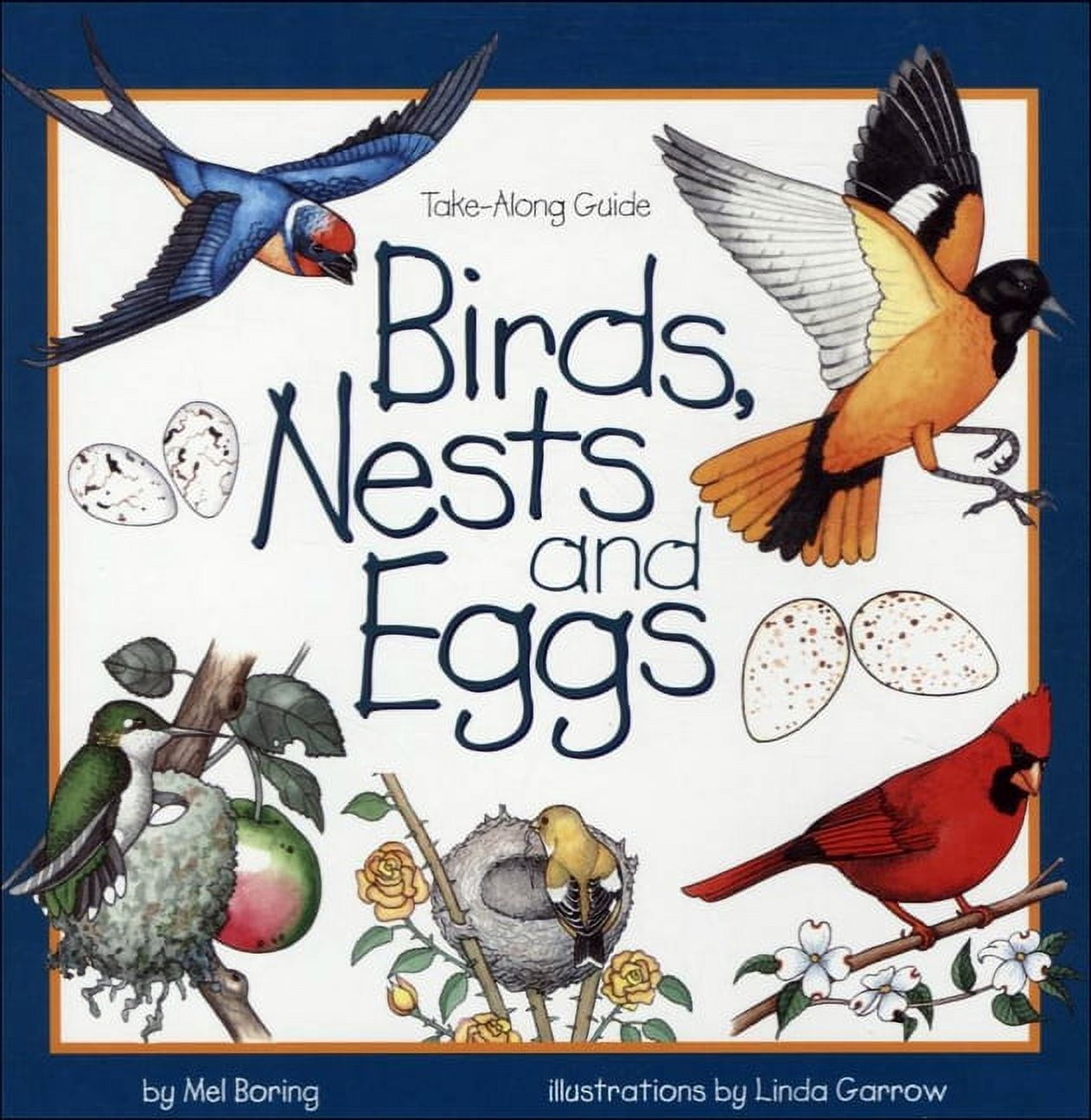 Birds, Nests, and Eggs, (Hardcover) - Walmart.com