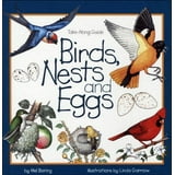 Birds, Nests, and Eggs, (Hardcover) - Walmart.com