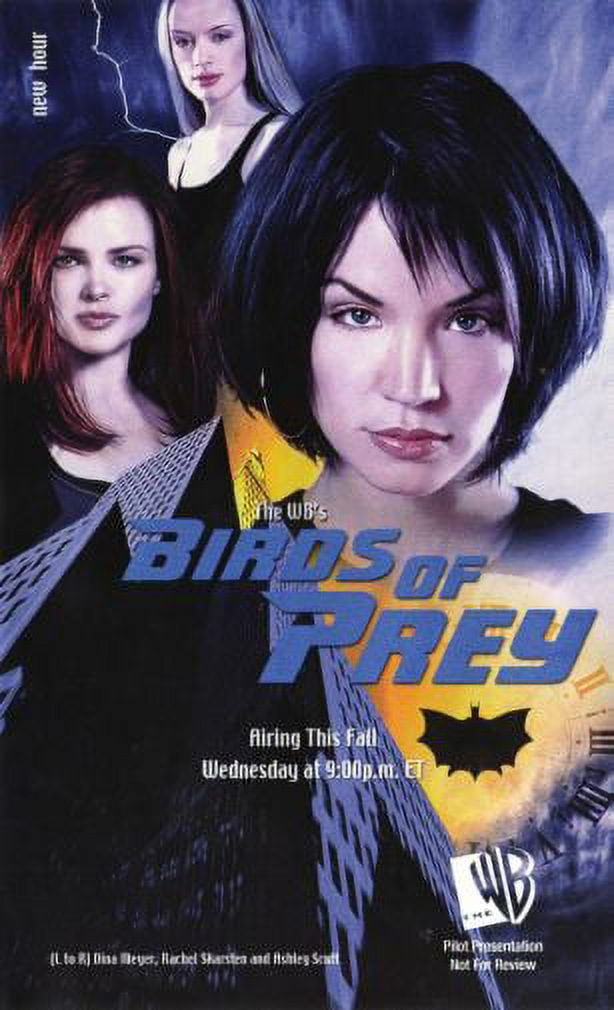 Birds Of Prey poster Metal Sign 8inx 12in Art Print on Metal 8x12 ...