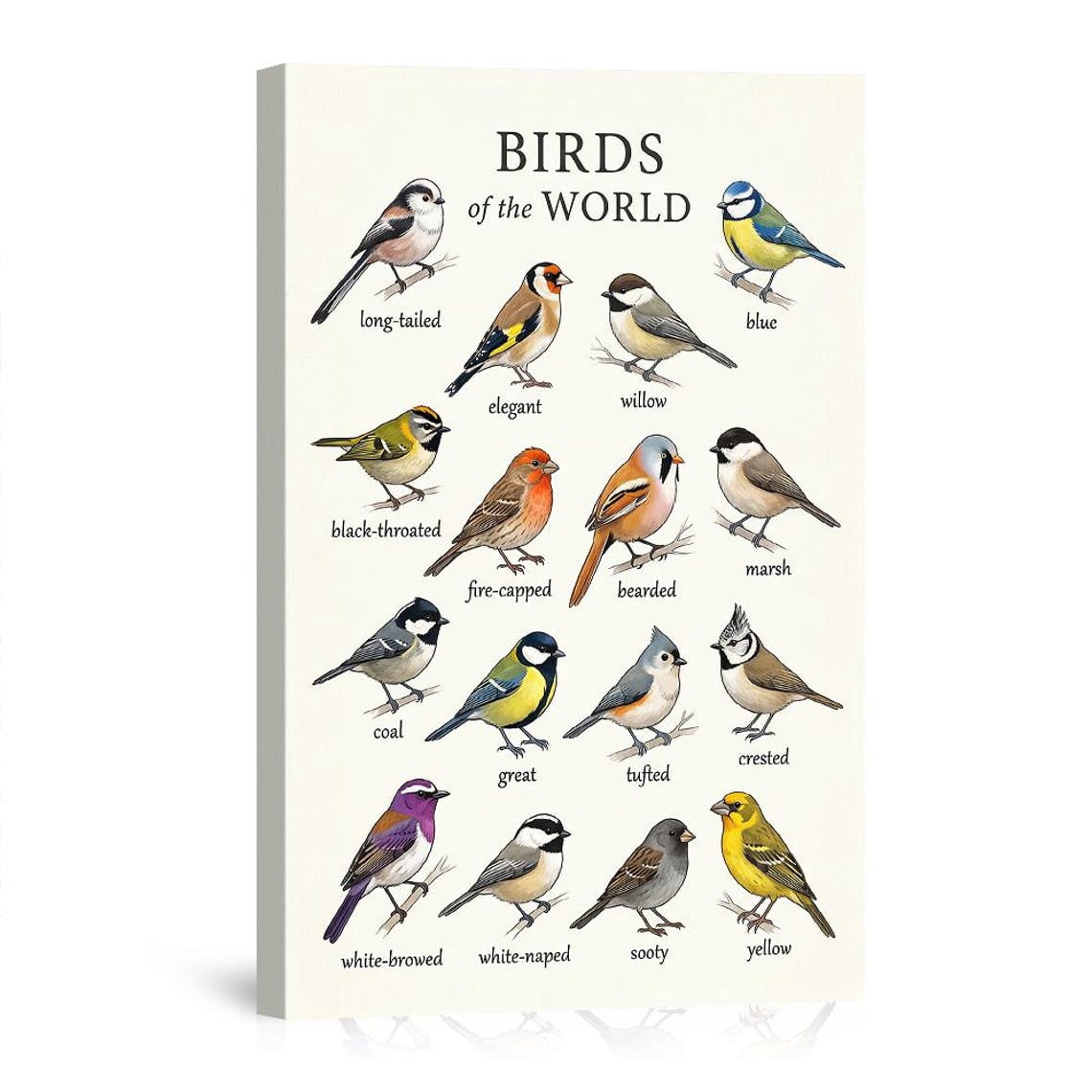 Birds Of The World Vintage Nature Educational Identification Guide Home ...