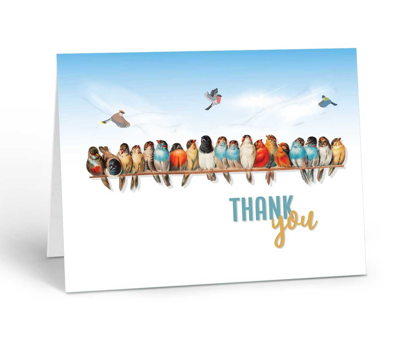 Birds On A Line Thank You Note Card - 10 Thank You Note Cards and ...
