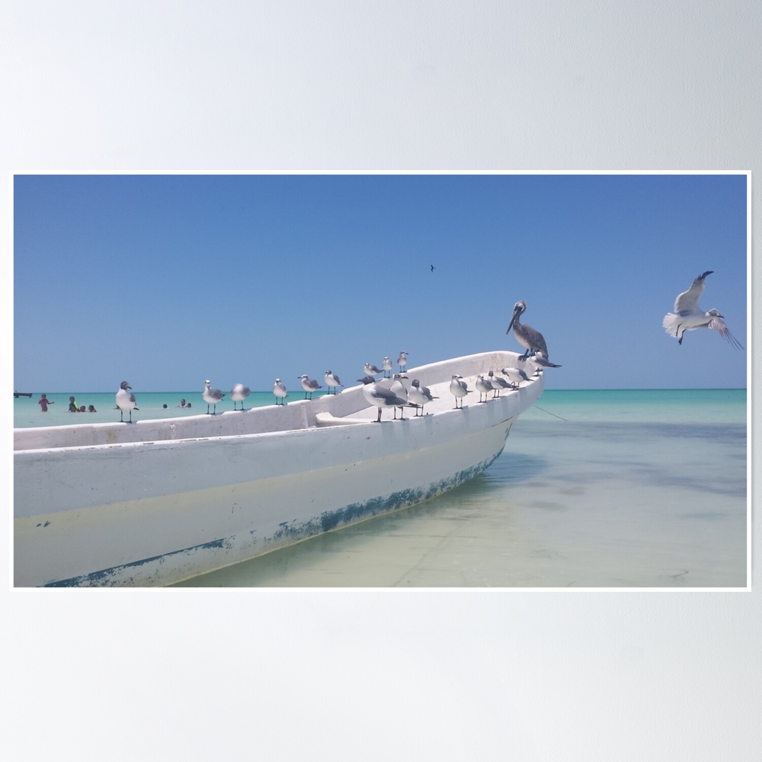 Birds On Boat, Holbox Island, Isla Holbox Poster Wall Art, Modern Wall ...