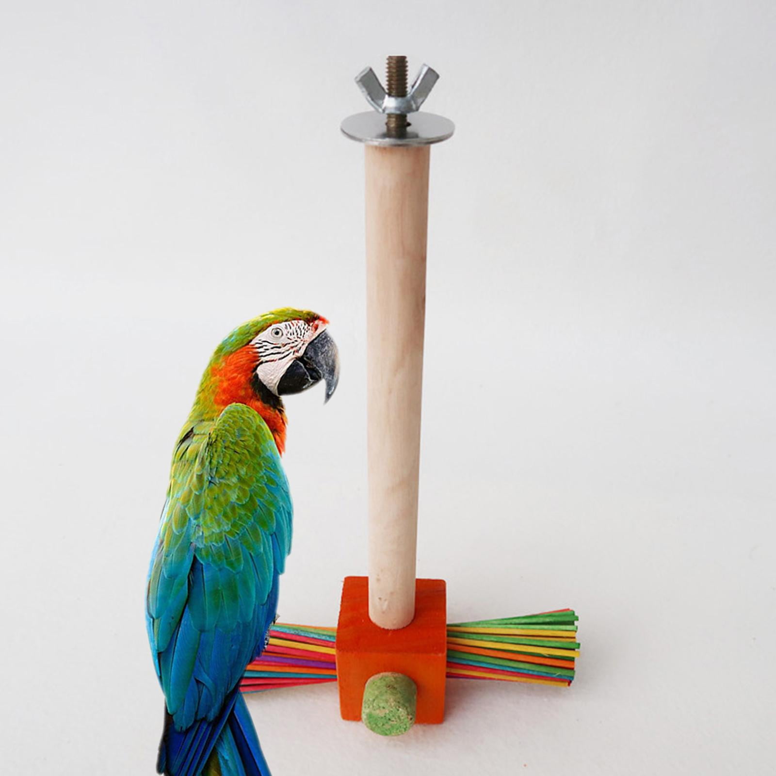 Birds Parrot Perch Platform Bird Stand Pole for Budgies Lovebirds ...