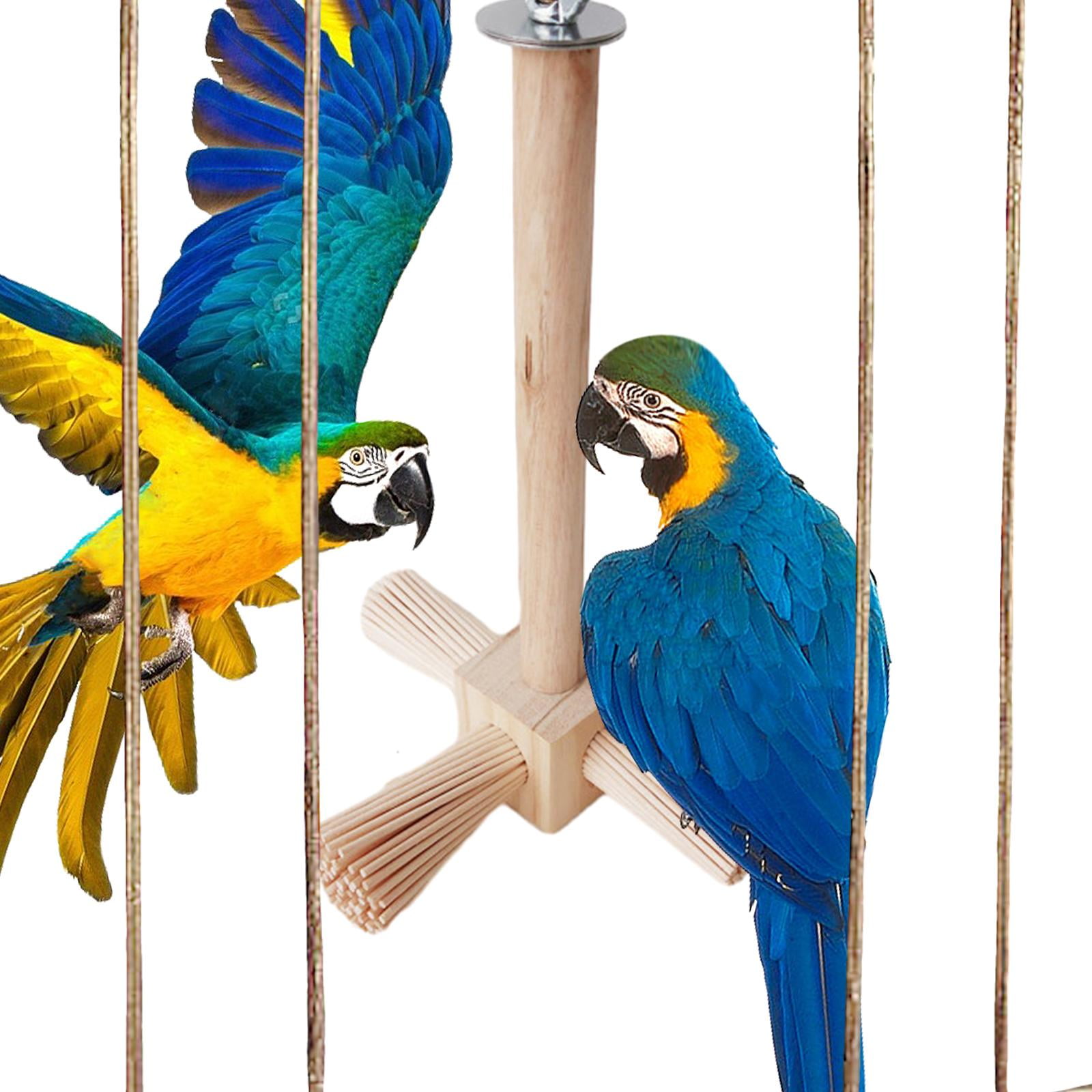 Birds Parrot Perch Platform Bird Stand Pole for Budgies Lovebirds ...