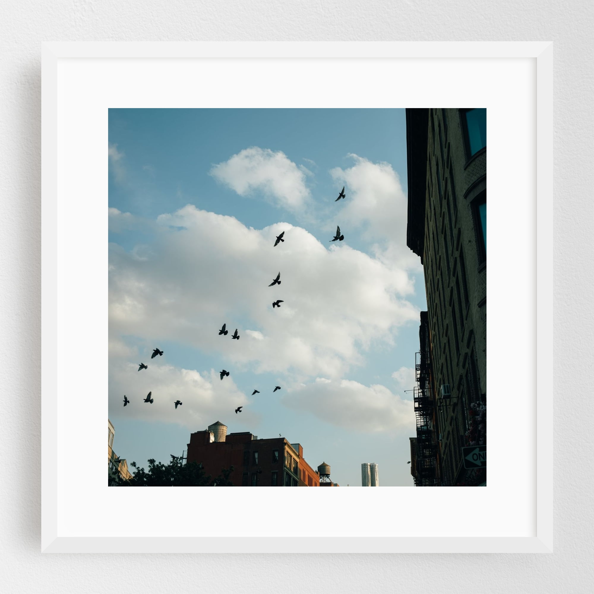 Birds, Soho 01 - Manhattan New York Photography City Street Photography Architecture Skyline ...