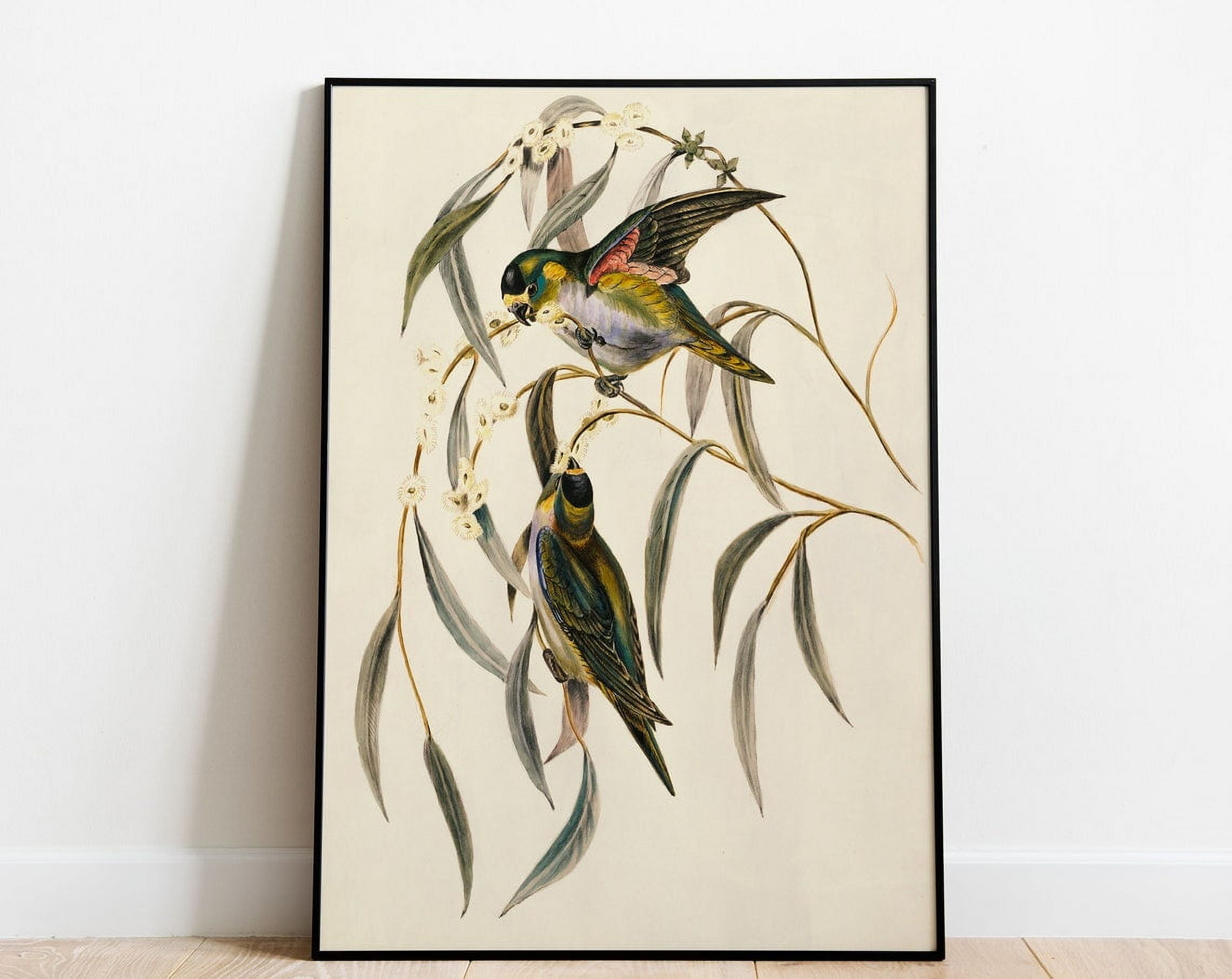 Birds, Vintage Poster, Art Print, Wall Art, Modern Wall Decor, 24x36 ...