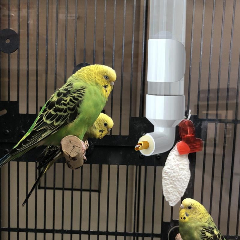 Birds Water Feeder Automatic Bird Cage Suspended Waterer Parakeet Water ...