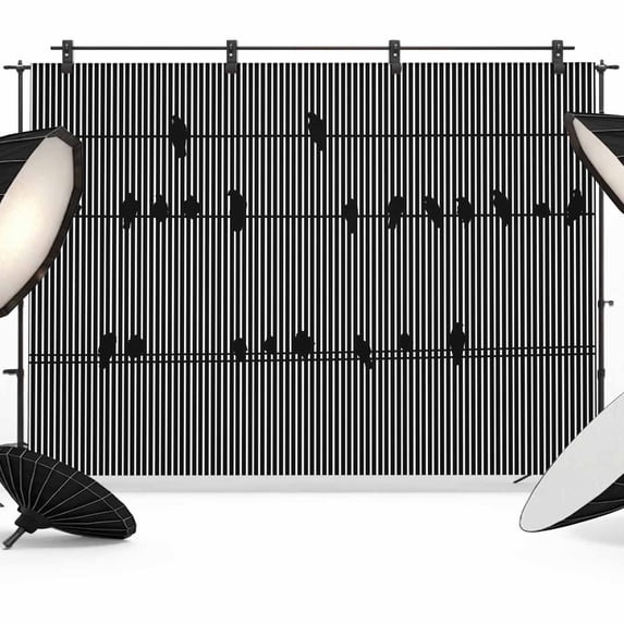 Birds on Wire Backdrops for Photography, Modern Minimalist Orange Gray ...