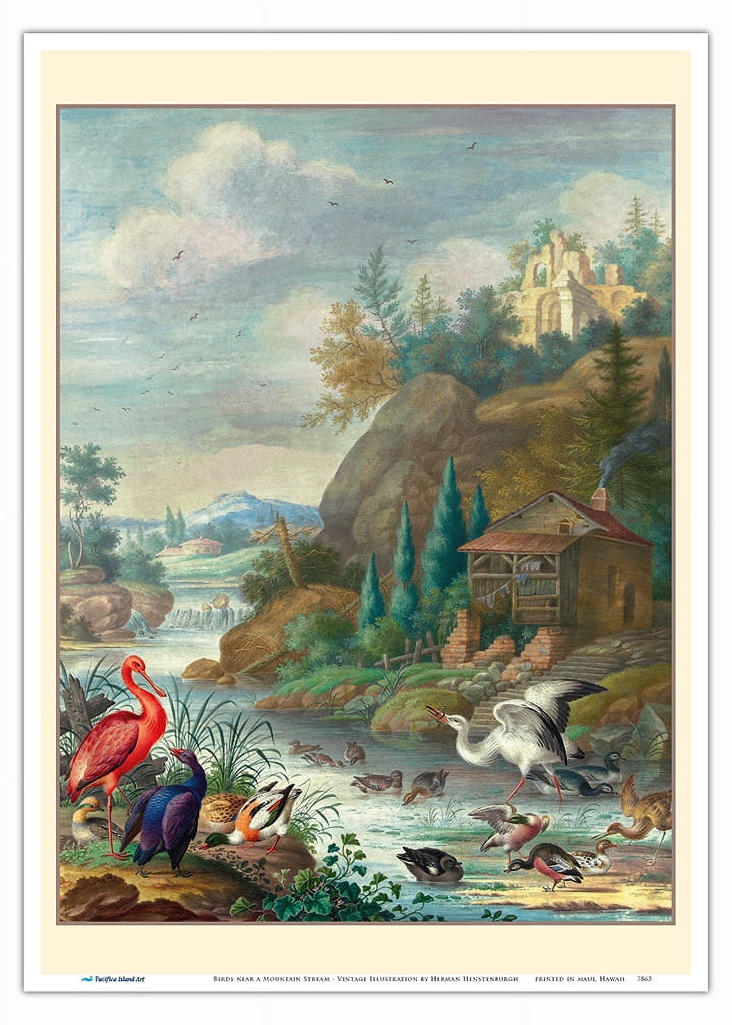 Birds near a Mountain Stream - Vintage Illustration by Herman ...