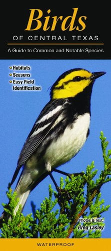 Pre-Owned Birds of Central Texas: A Guide to Common & Notable Species ...