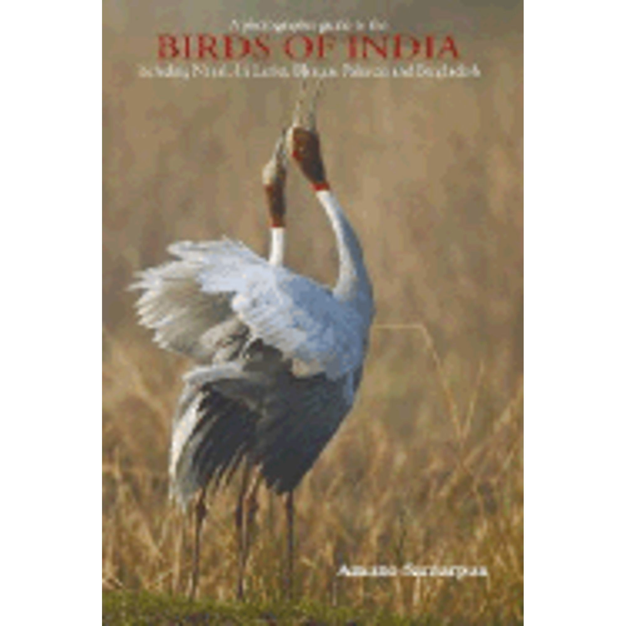 Pre-Owned Birds of India: Including Nepal, Sri Lanka, Bhutan, Pakistan ...