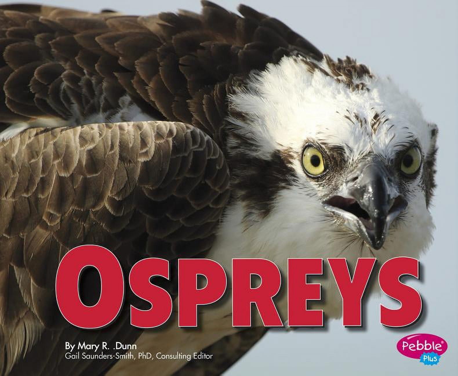 Birds of Prey: Ospreys (Hardcover) - Walmart.com