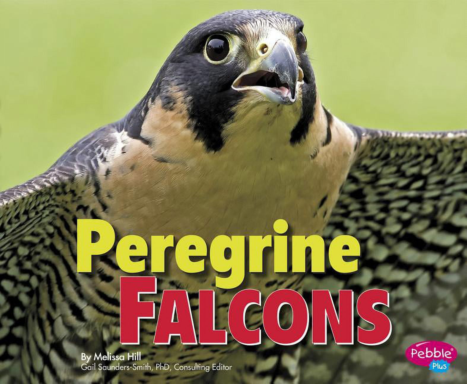 Birds of Prey Peregrine Falcons, (Paperback) - Walmart.com