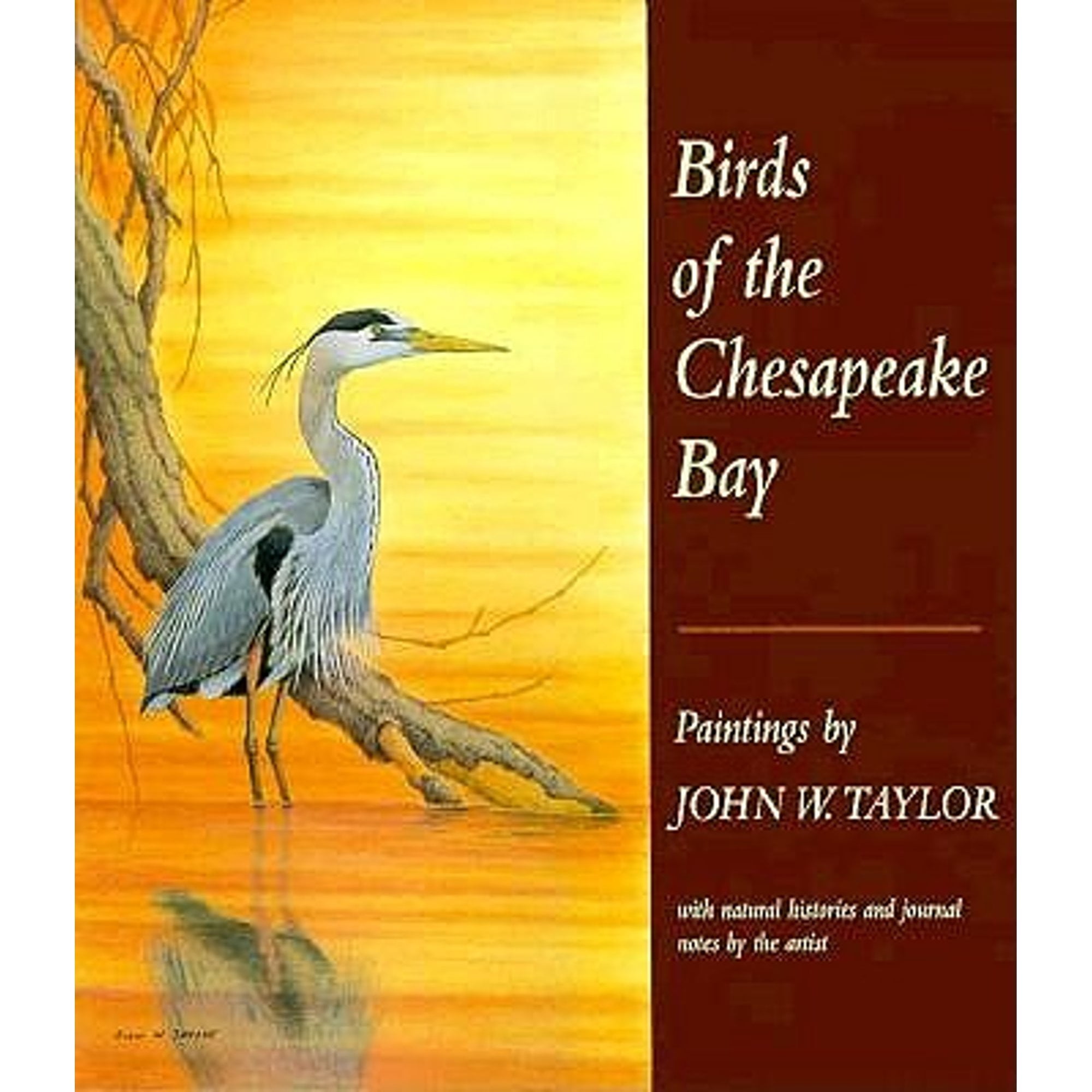 Pre-Owned Birds of the Chesapeake Bay: Paintings by John W. Taylor ...