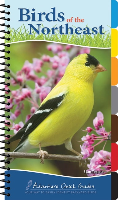 Adventure Quick Guides Birds of the Northeast: Your Way to Easily ...