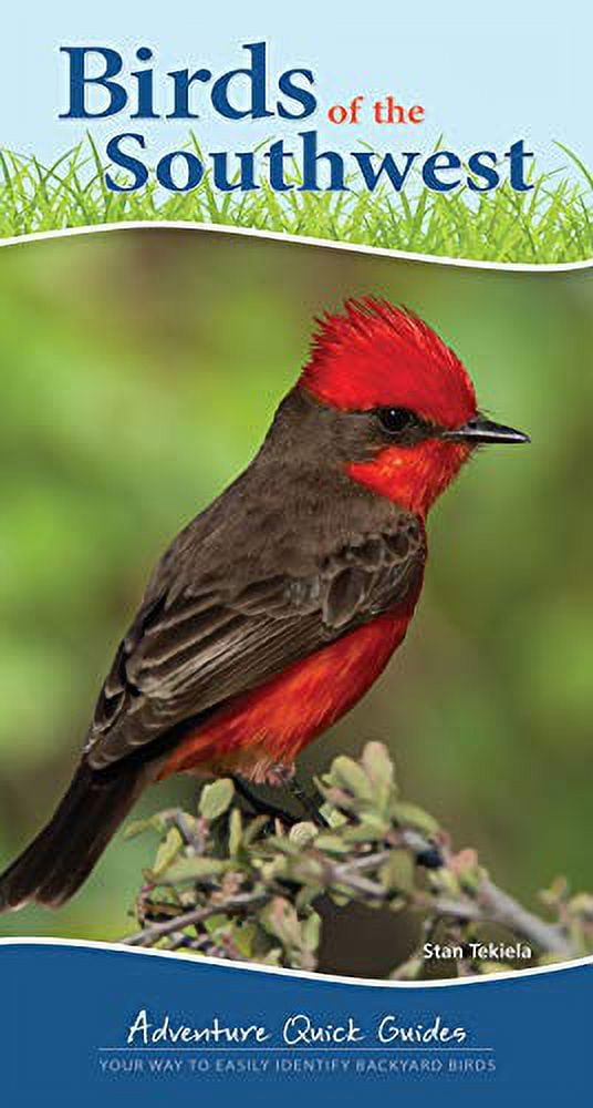 Pre-Owned Birds of the Southwest: Your Way to Easily Identify Backyard ...