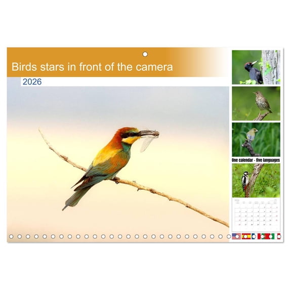Birds stars in front of the camera (Monthly Wall Calendar 2026 16.5 x ...