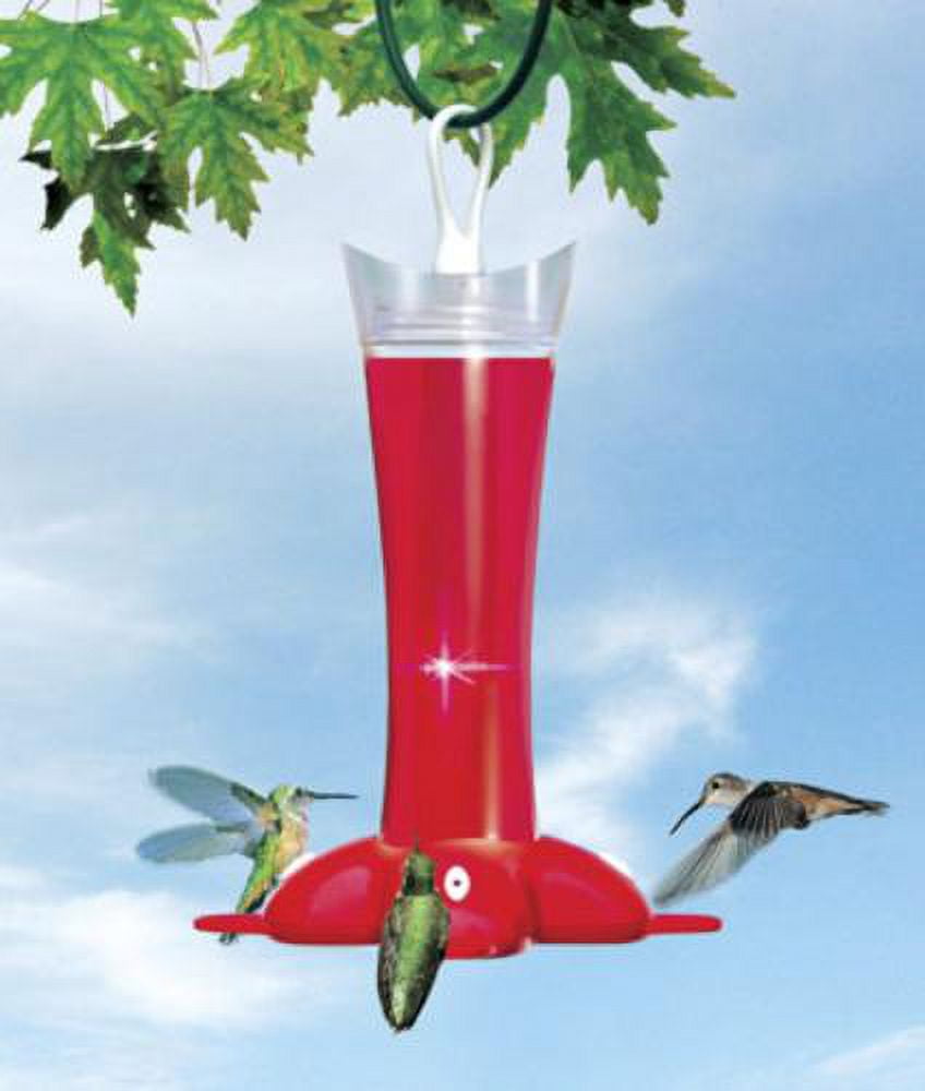 Birdscapes 279 Hummingbird Feeder With Ant Moat 12 Oz - Walmart.com