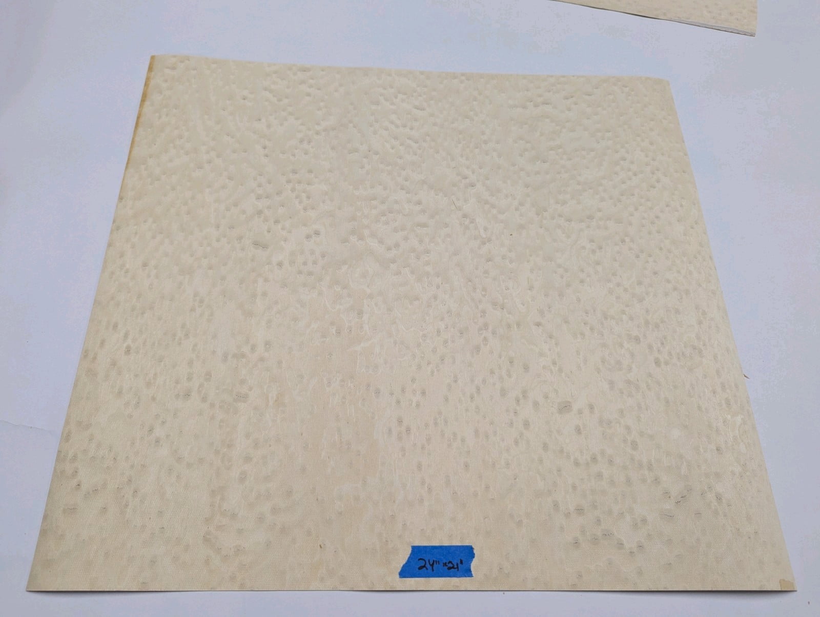 Birdseye Maple composite wood veneer 24" x 21" on paper backer 1/40 ...