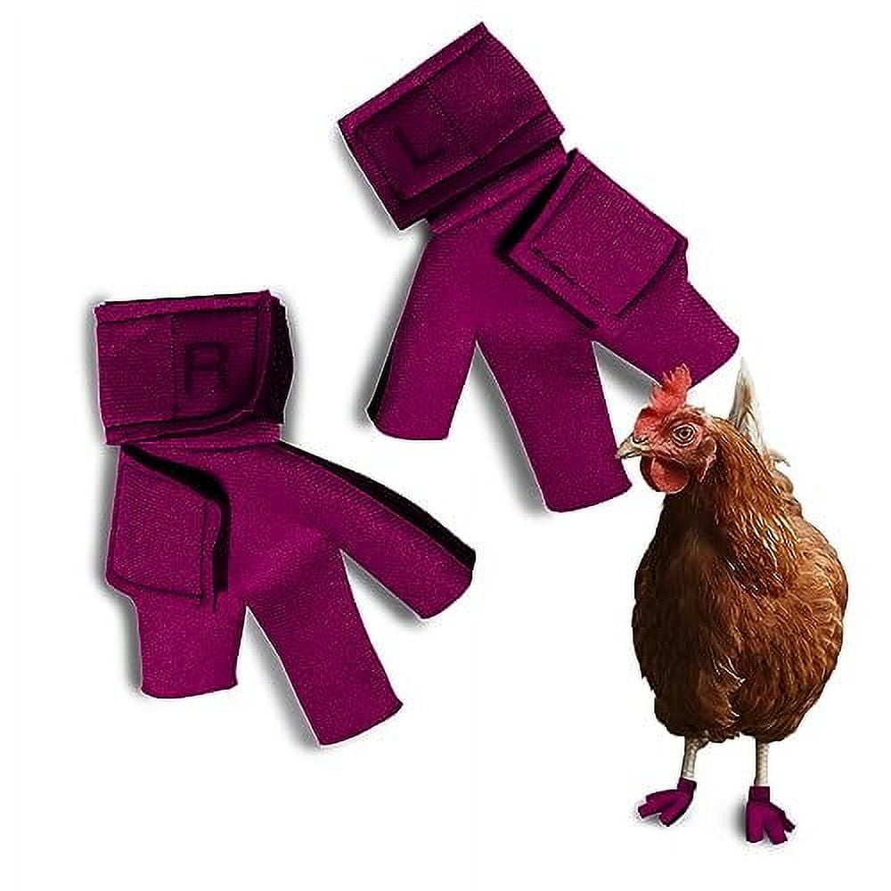 Birdy Bootie Protective Bird Shoes, Chicken Shoes for Hens and Roosters ...