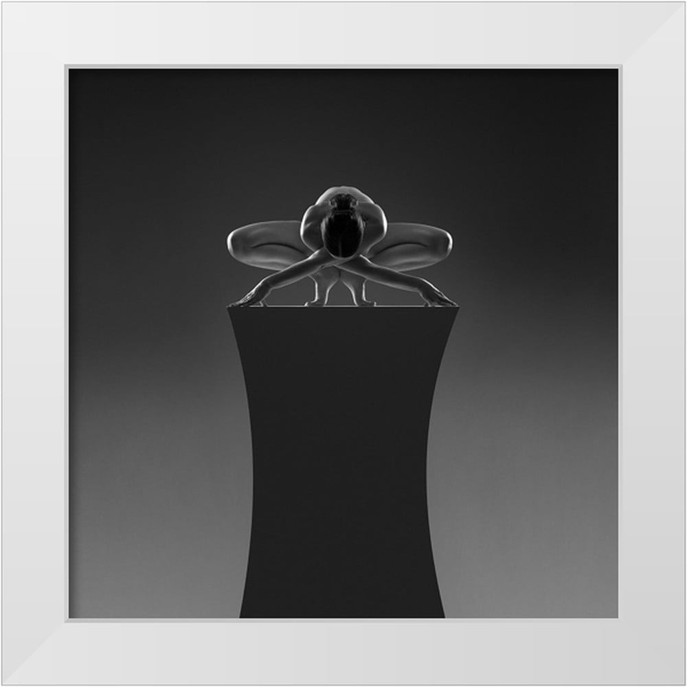 Birkhofer, Bruno 12x12 White Modern Wood Framed Museum Art Print Titled ...