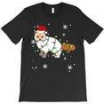 Birman Cat Christmas Lights Funny Christmas Cat St. Nick Hat Holiday ...