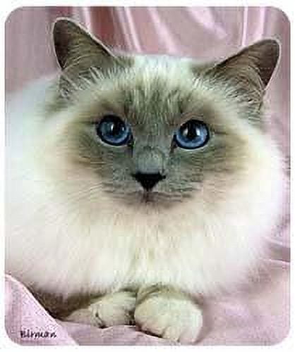 Birman Cat Mousepad - Walmart.com