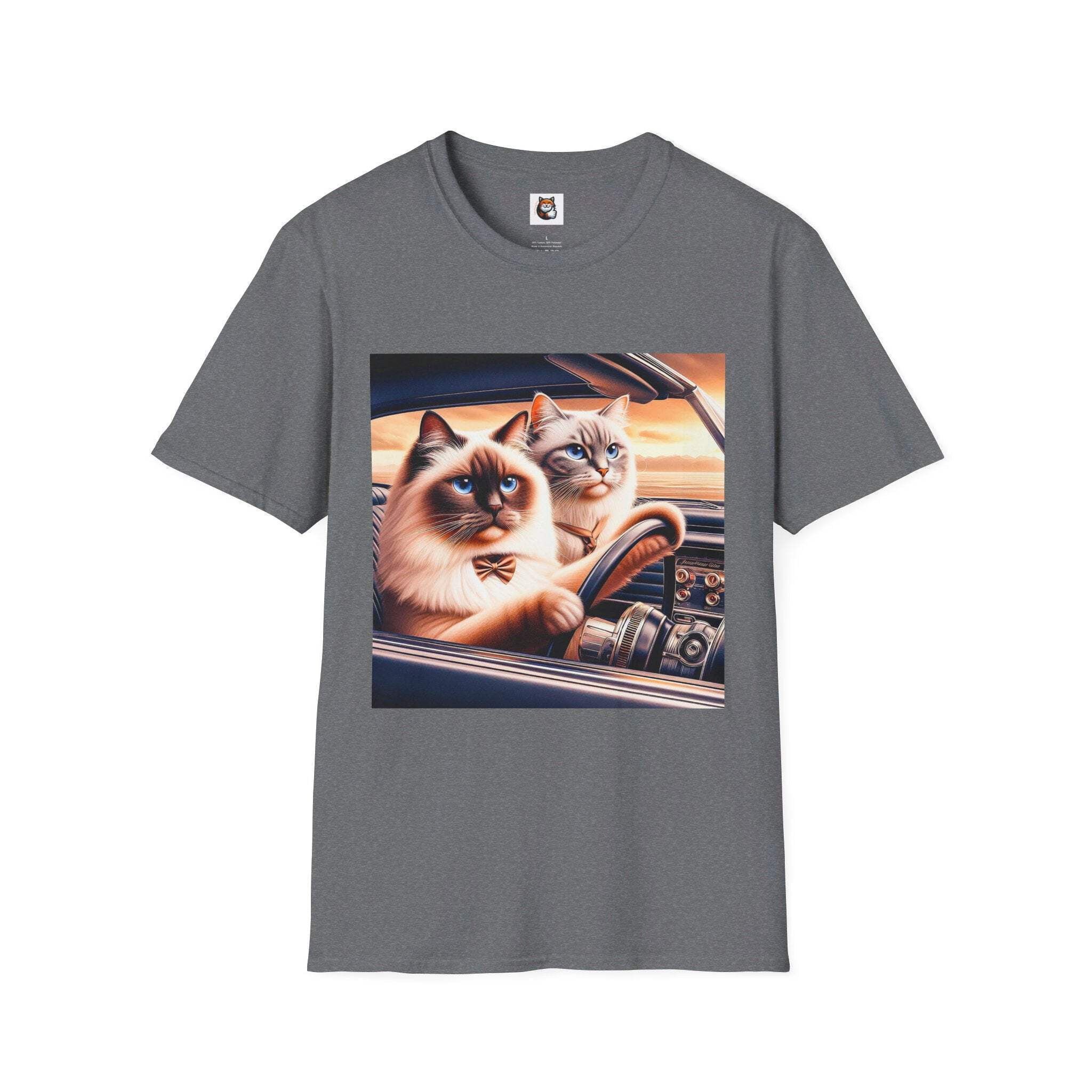 Birman Domestic Cat - Walmart.com