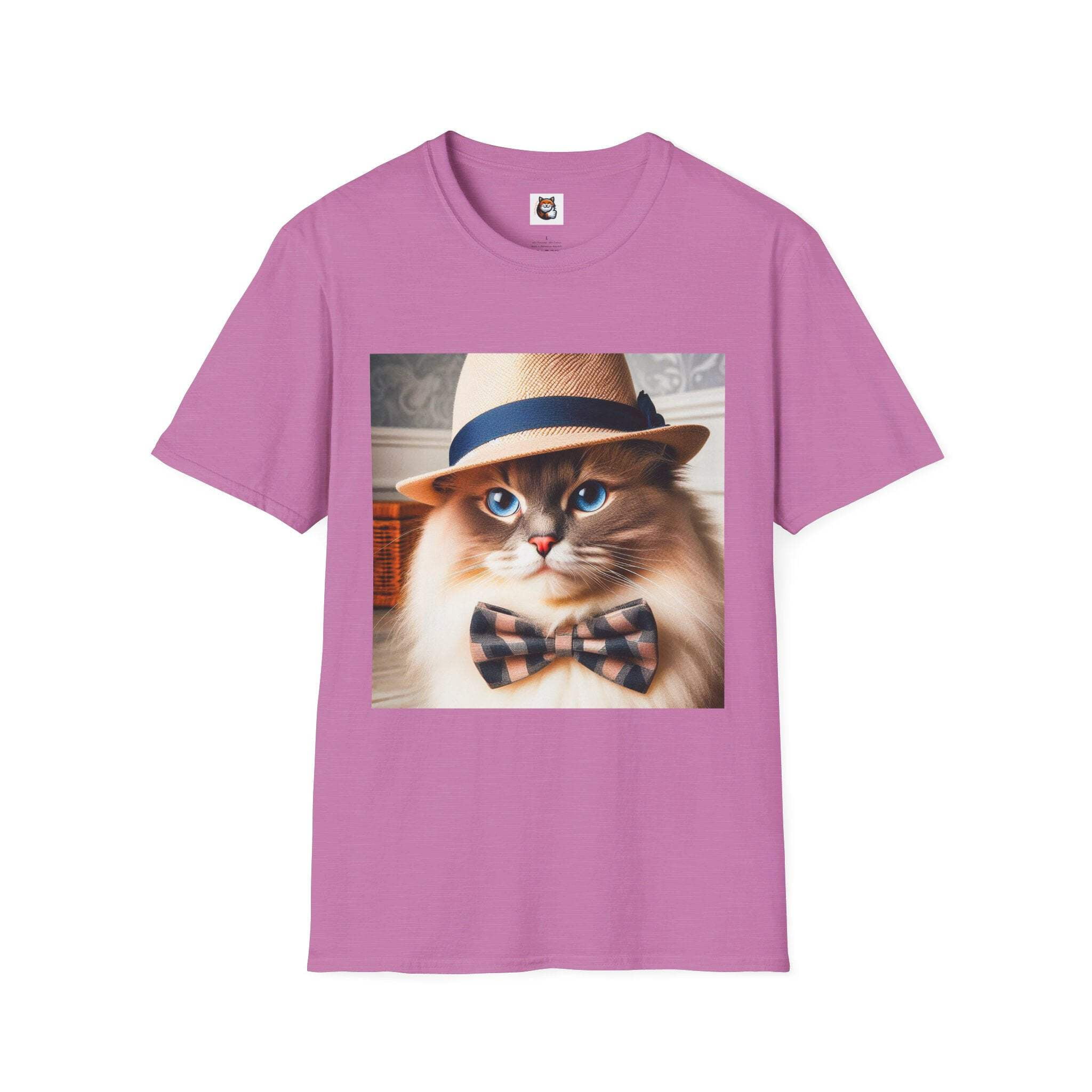 Birman Domestic Cat - Walmart.com