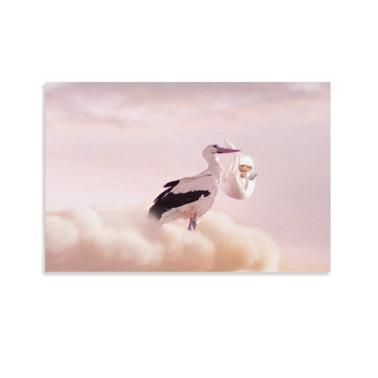 Birth Baby Stork Canvas Art Poster And Wall Art Picture Print Modern ...