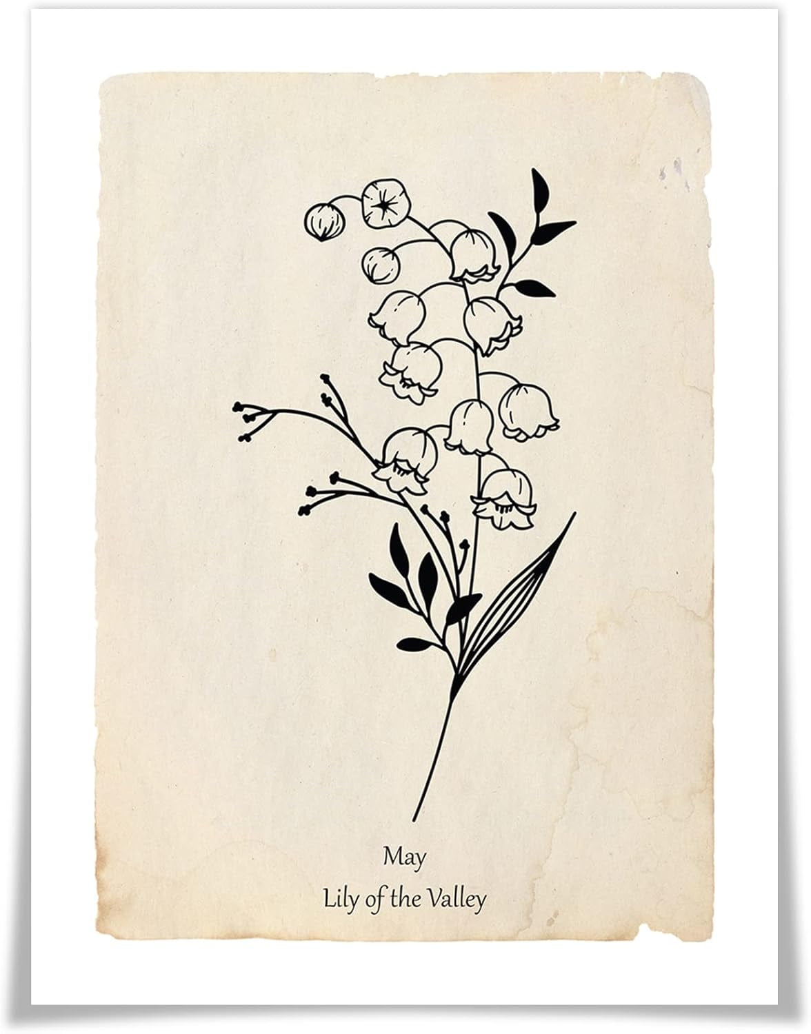 Birth Month Flowers wall art, Nature Floral Poster as a Mother's Day ...