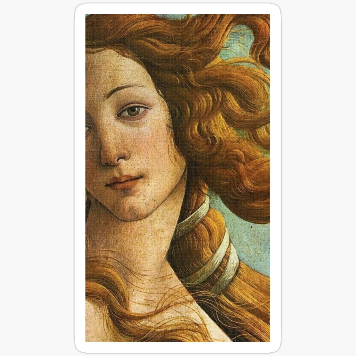 Birth Of Venus By Botticelli Sticker. Gift For You - Decorate Laptops ...