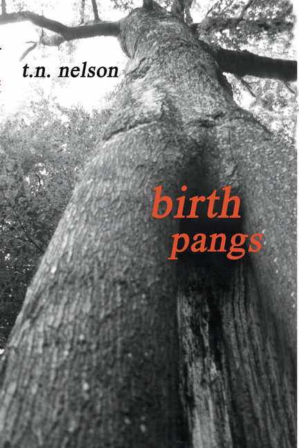 Birth Pangs (Paperback) - Walmart.com