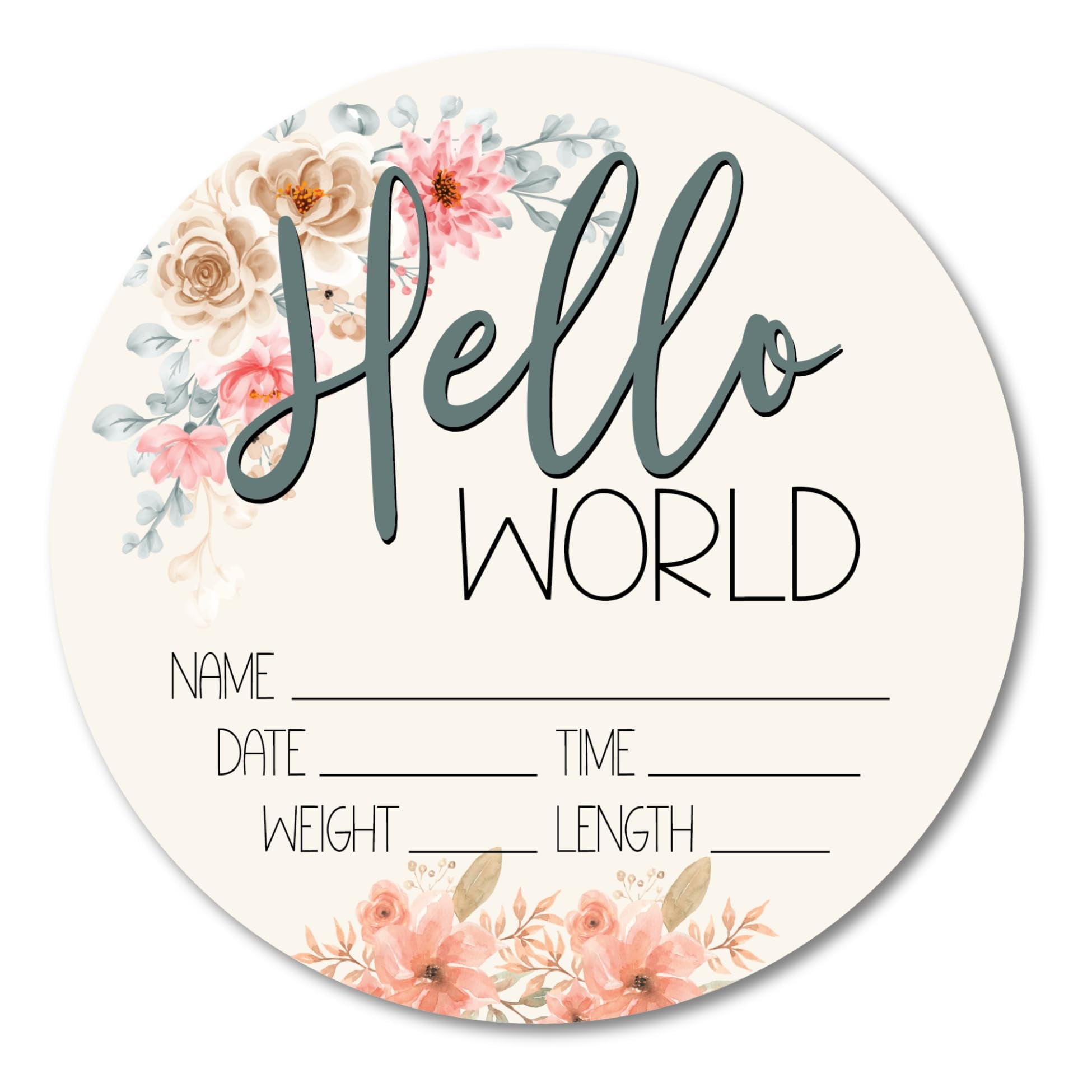 Birth Stat Acrylic Sign for Newborn Baby, 6" Floral Design, Hello World ...