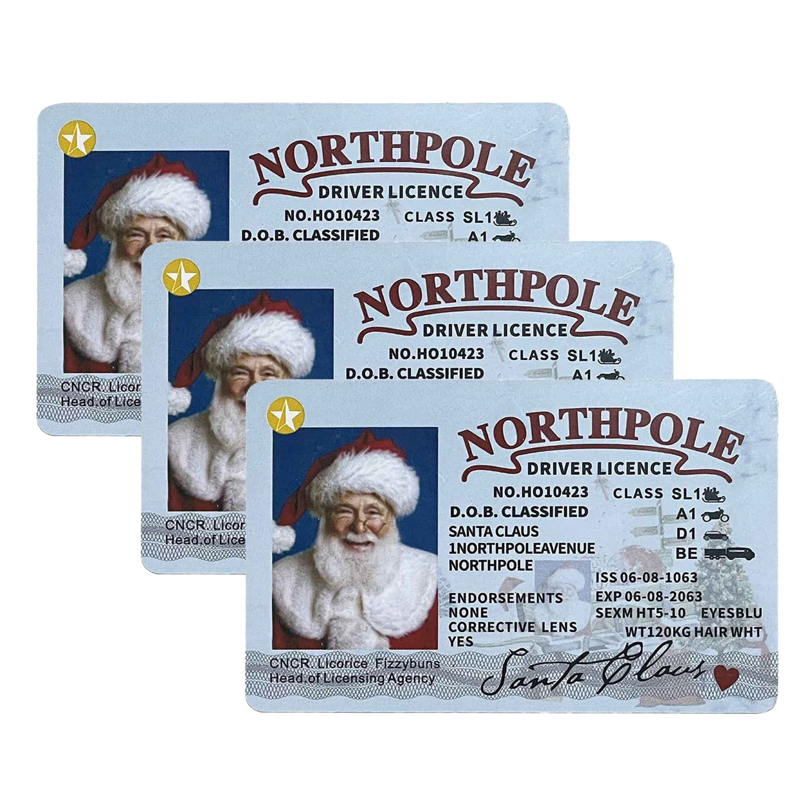 Birthday Cards for Women Santa Lost Driver's License Card DIY Santa ...