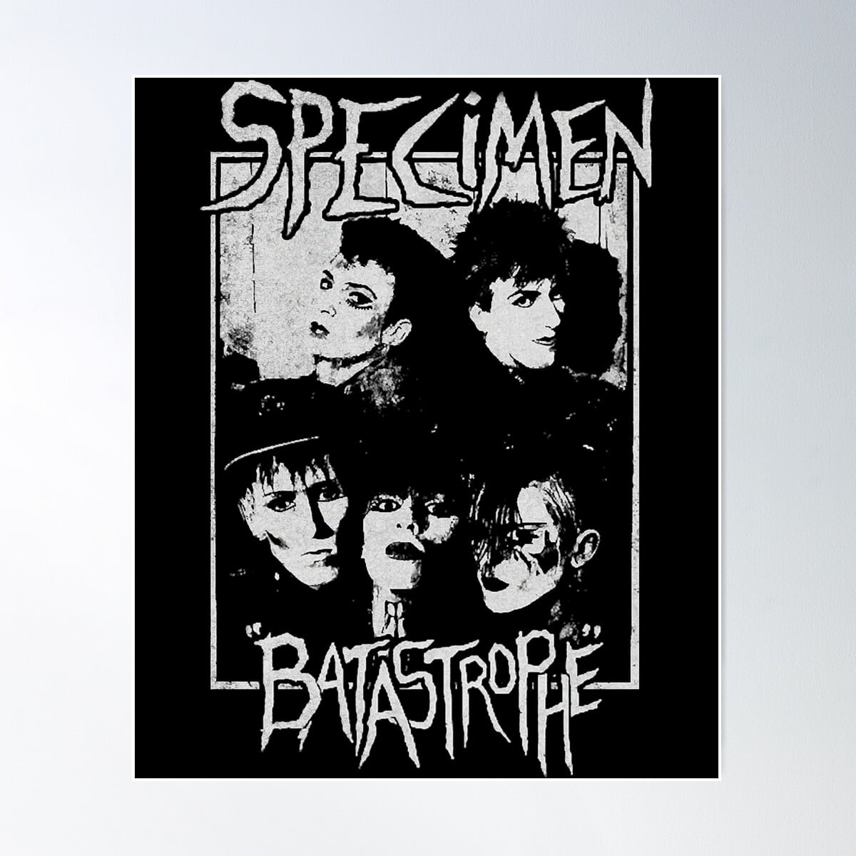 Birthday Gifts Specimen Band Nature Gifts Movie Fans Poster, 16x24 ...