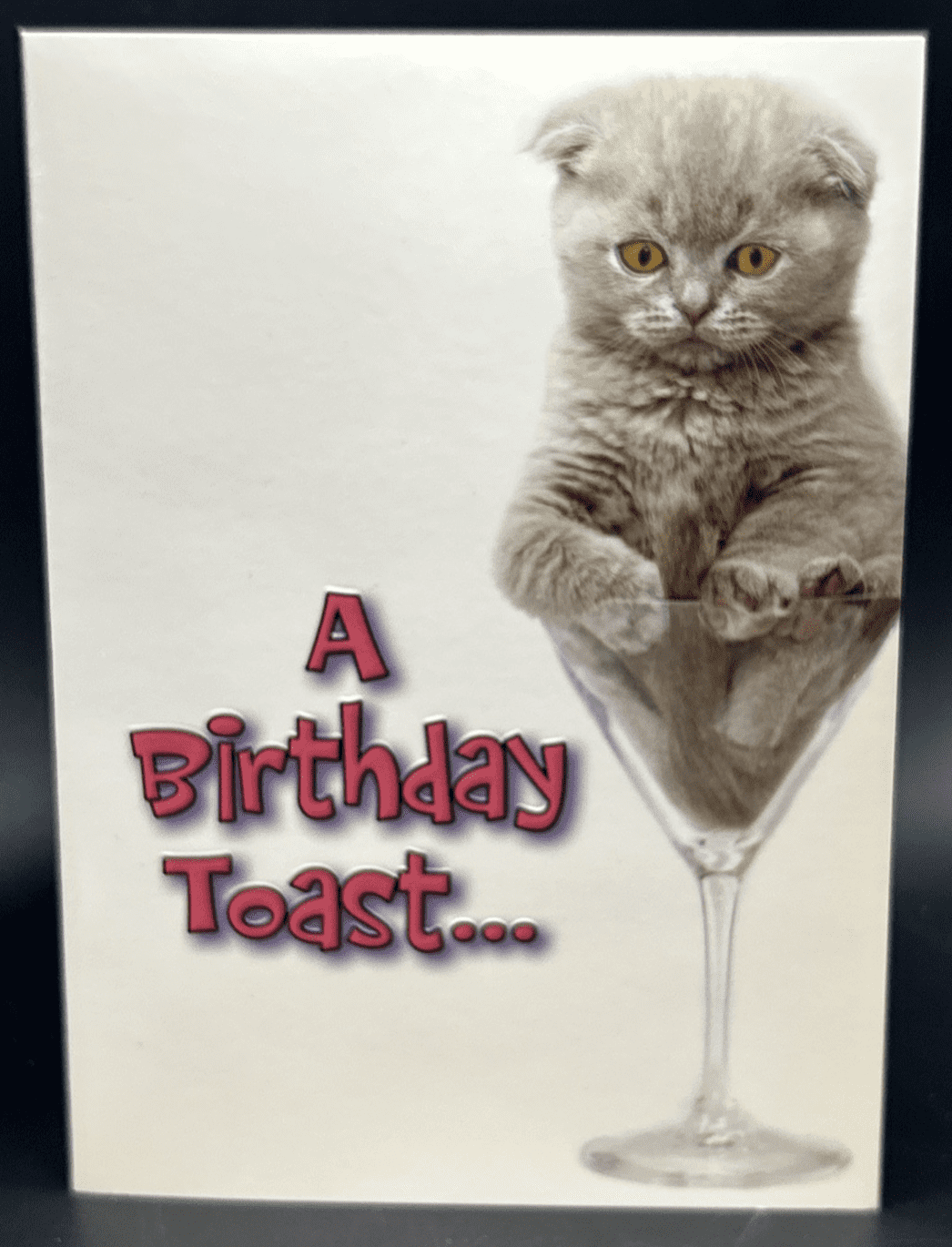 Birthday Greetings (Paws and Claws- Cat) Greeting Card w/Envelope ...
