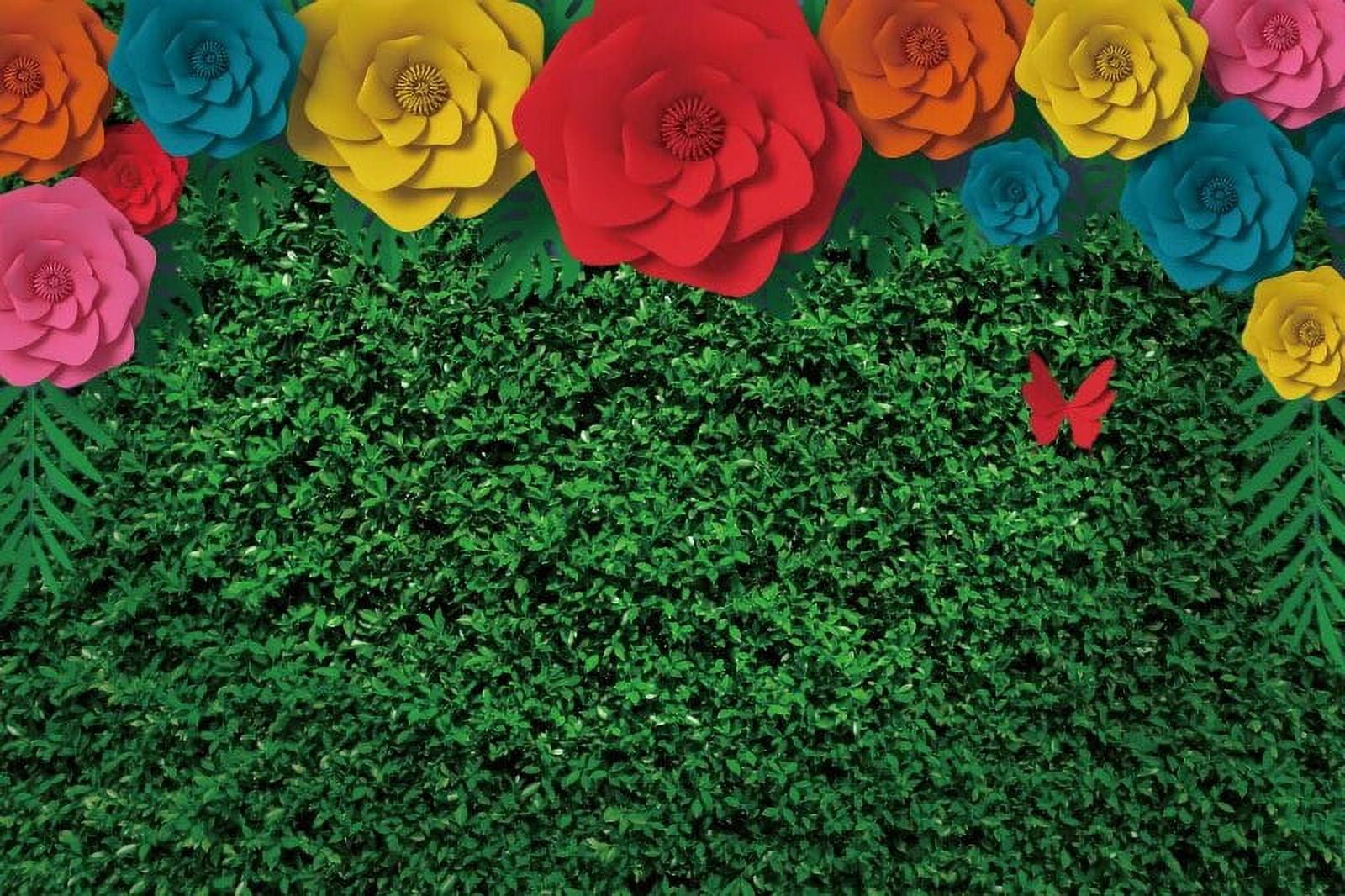 Birthday Photo Backgrounds Green Grass Wall Plants Leaves Butterfly ...