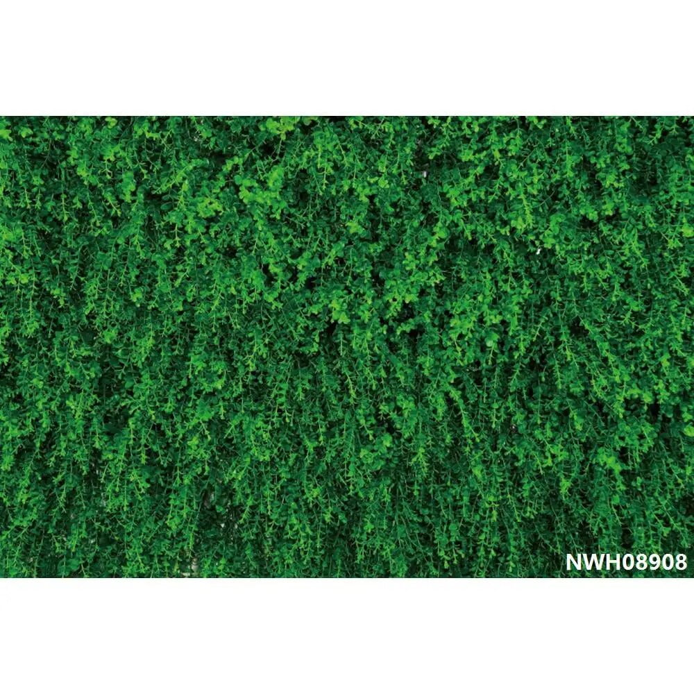 Birthday Photo Backgrounds Green Grass Wall Tropical Plants Leaves ...