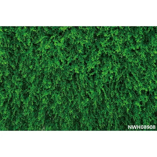 Birthday Photo Backgrounds Green Grass Wall Tropical Plants Leaves ...