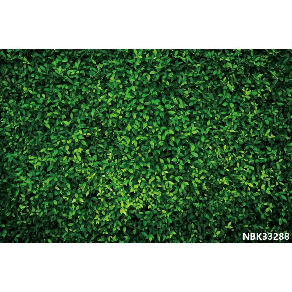 Birthday Photo Backgrounds Green Grass Wall Tropical Plants Leaves ...