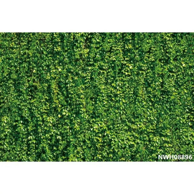 Birthday Photo Backgrounds Green Grass Wall Tropical Plants Leaves ...