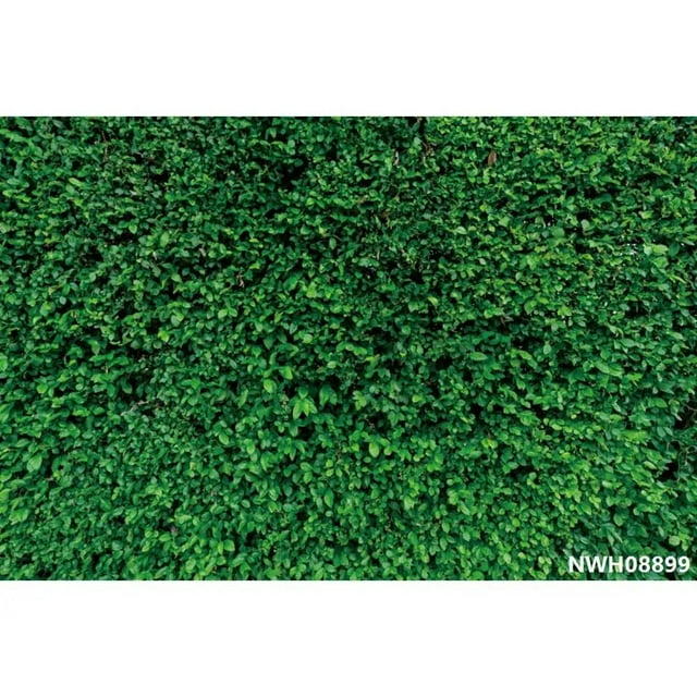 Birthday Photo Backgrounds Green Grass Wall Tropical Plants Leaves ...