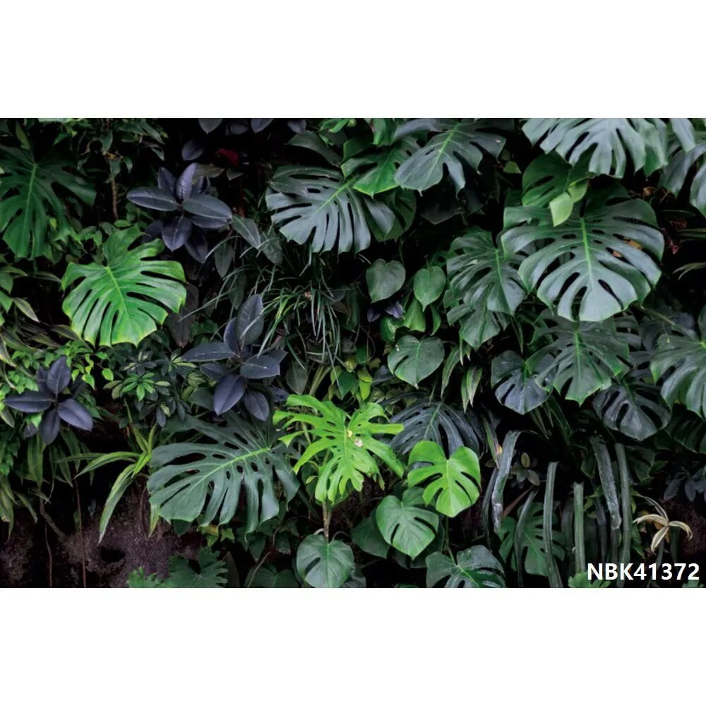 Birthday Photo Backgrounds Green Grass Wall Tropical Plants Leaves ...