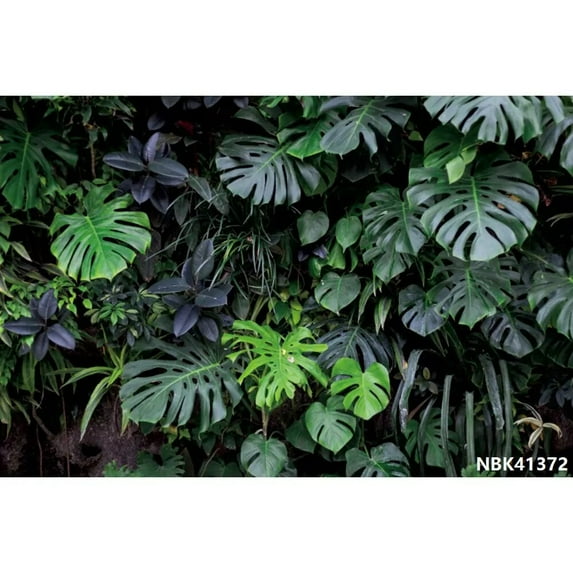 Birthday Photo Backgrounds Green Grass Wall Tropical Plants Leaves ...