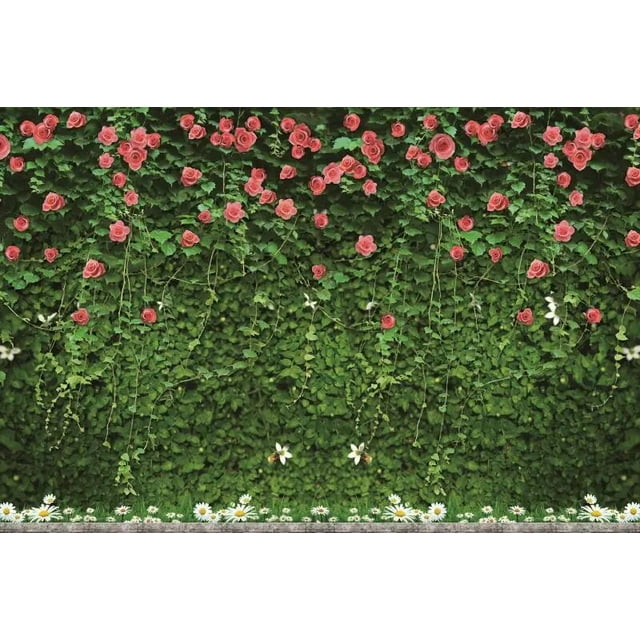 Birthday Photo Backgrounds Green Grass Wall Tropical Plants Leaves ...