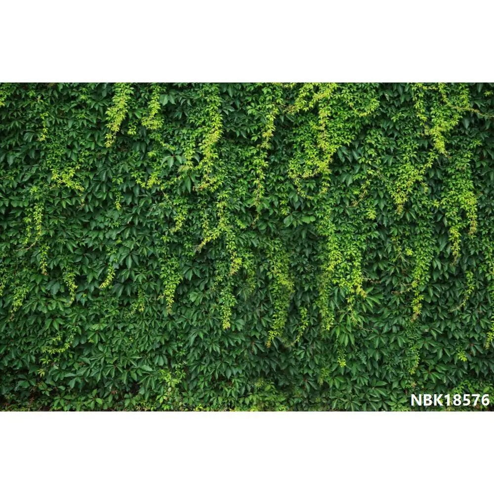 Birthday Photo Backgrounds Green Grass Wall Tropical Plants Leaves ...
