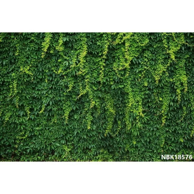 Birthday Photo Backgrounds Green Grass Wall Tropical Plants Leaves ...